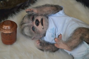 ROBBIE THE WEREPUP BY ASIA ERIKSEN - Tinkerbellcreations.co.uk